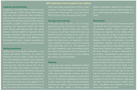 Tree Veteranisation Pollarding And Girdling Vs Tree Conservation