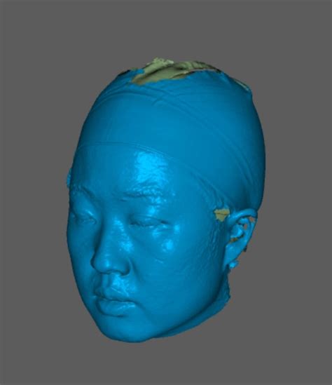 Jingjing Wang On Linkedin Are You Interested In The 3d Scanning Model