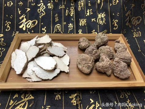 虎乳菌無花果海底椰止咳潤肺湯 每日頭條