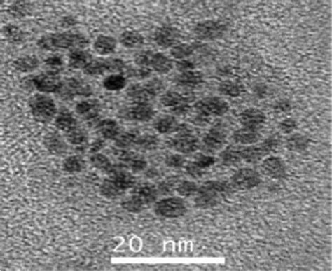 Tem Image Of The Synthesized Carbon Quantum Dots Download Scientific Diagram