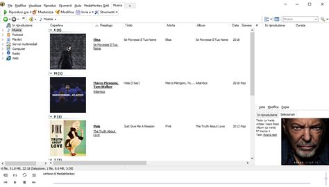 Swinsian 2 1 6 Music Manager And Player