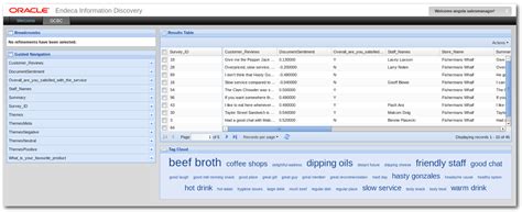 Oracle Endeca 2 3 Record Level Security