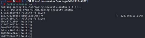Cve Spring Pocexp Csdn