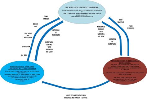 Microplastic Cycle In The Environment Nhsjs
