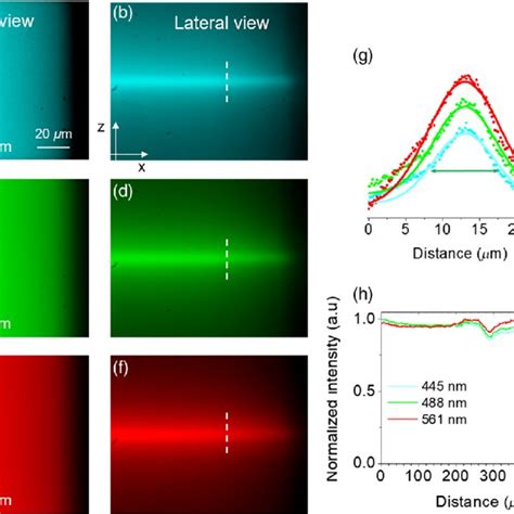 A Absorption And B Emission Spectra Of Cfp Gfp And Rfp