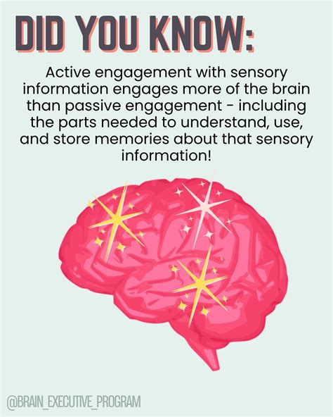 Brain Passive Sensory Stimulation Will Activate The Sensory Parts Of