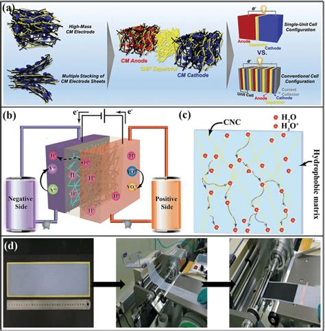Separators Derived From Nanocellulose In Libs A Schematic Download Scientific Diagram