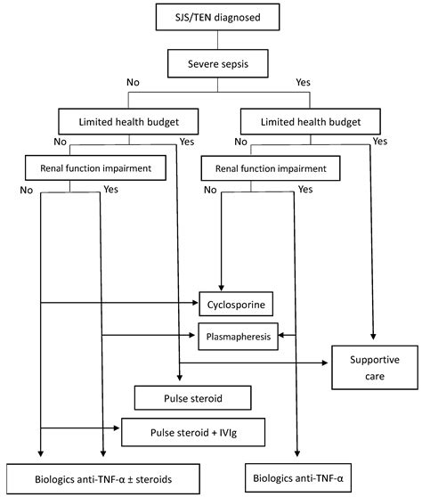 Biomedicines Free Full Text A Review Of The Systemic Treatment Of