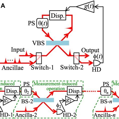 Conceptual Schematic Of The Loop Based Circuit A Physical Download Scientific Diagram