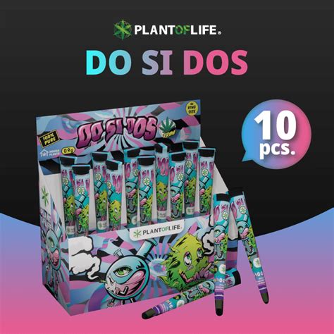 Cannabis Thousand Stems Mixed Flowers Do Si Dos Strain Wholesale Plantoflife Thailand