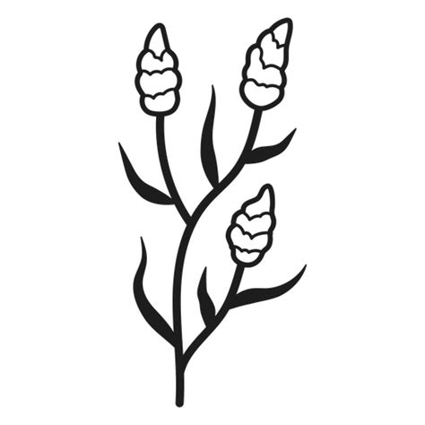 Diseño Png Y Svg De Flores De Lavanda Negra Para Camisetas
