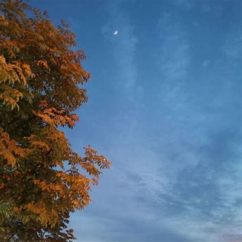 海棠春 秋夜外詩詞八首 壹讀
