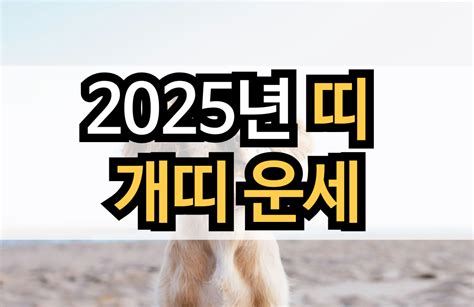 2025년 개띠 신년운세 대공개 재물운·애정운·건강운 총정리 유용한정보