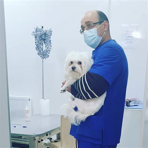 ვეტერინარული კლინიკა აბ ვეტ ბუნება Veterinary Clinic Ab Vet Buneba
