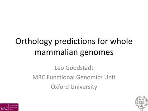 Ppt Orthology Predictions For Whole Mammalian Genomes Powerpoint