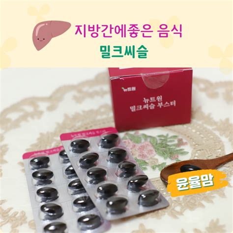 지방간에좋은음식 밀크씨슬 추천 복용시간 네이버 블로그