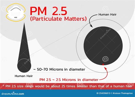 Particulate Matter 2 5 Microns Vector Stock Vector Illustration Of Pollution Microns 254206813