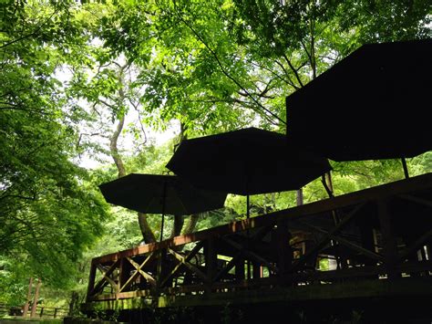 Green Ark