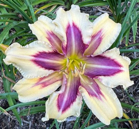 Woodhenge Gardens Quadratic Equation