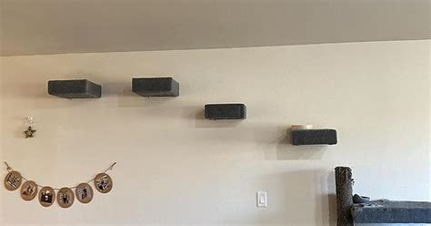 Cat Boxes We Made For Our Spoiled Cats Album On Imgur