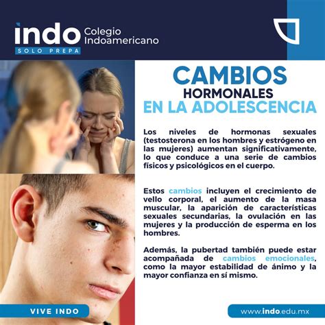 Indoamericano Los Cambios Hormonales En La Adolescencia