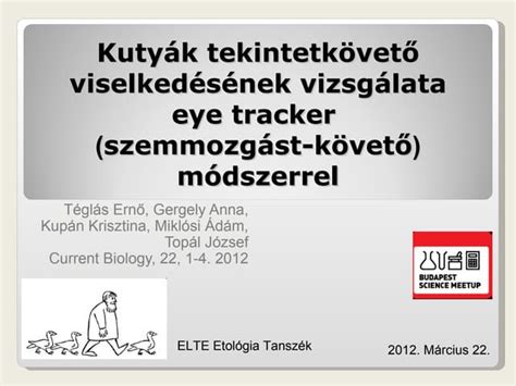 Gergely Anna Kutyák Tekintetkövető Viselkedésének Vizsgálata Eye