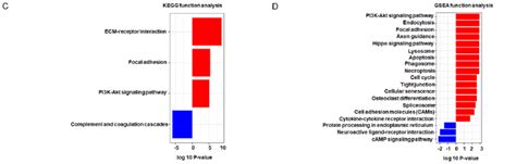 top 10 terms of functional enrichment of 413 degs a go function