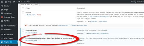 Woocommerce Product Details For Ecommerce Syntactics Inc