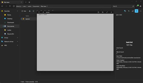 Files QuickLook Esc Doesn T Hide Close The QuickLook Window Issue
