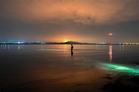 Exploring The Intertidal Zone A Visual Diary With The Nikon Z6 Ii Setup Keithwee Photography