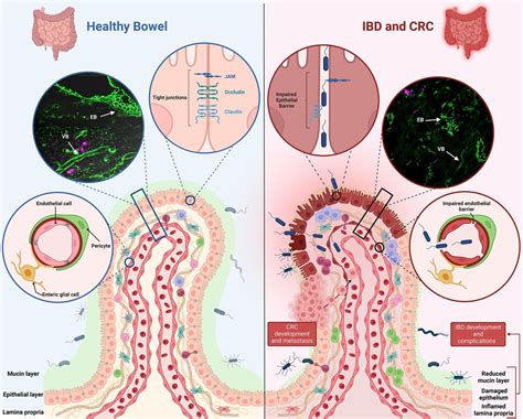 Opening The Doors Of Precision Medicine Novel Tools To Assess