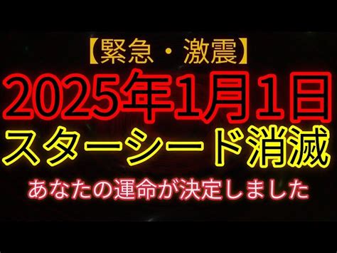 【緊急・激震】2025年1月1日にスターシードは消えます。プレアデスの会議にてあなたの運命が決定しました。
