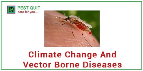 Vector Borne Diseases Vector Borne Diseases Archives Climate Program