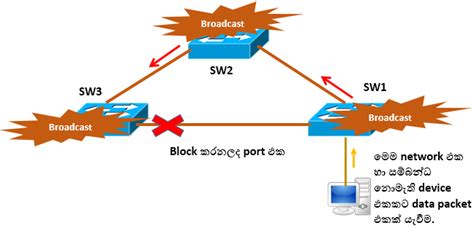 Network Ccna Spanning Tree Protocol Stp I