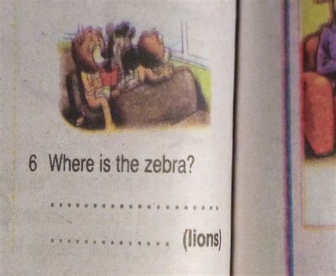6 Where Is The Zebra Lions StudyX