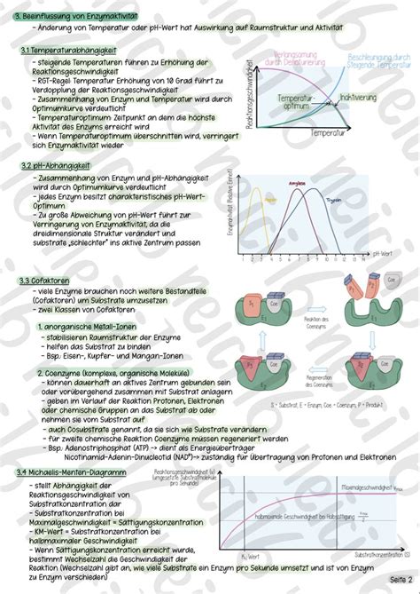 Enzymatik Lernzettel K2 S1 Biologie Unterrichten Biologie Abitur Tipps