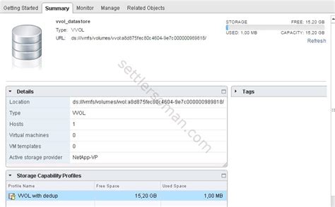 Provisioning Virtual Volumes Vvols On Netapp Clustered Data Ontap And