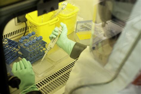 Ebola Virus Research Update Newsroom Inserm