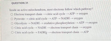 Solved QUESTION 31Inside An Active Mitochondrion Most Chegg