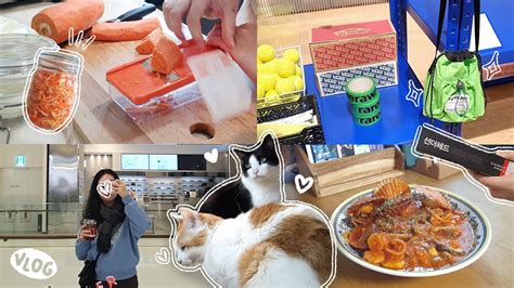 스타필드 수원점 놀러가고 🍛집밥 해먹는 일상 우당탕탕 당근라페 만들기🥕 🐈고양이 브이로그 🍚집밥브이로그 독서브