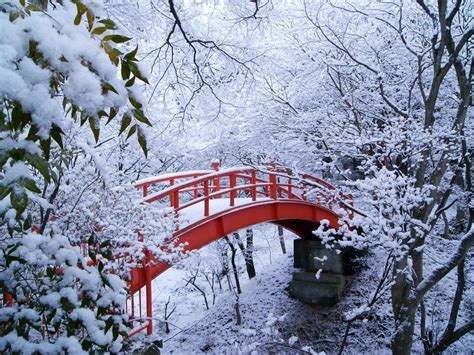 Winter Season Wallpapers Wallpaper Cave