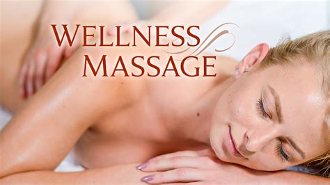 Basic Massage Therapy Version 20