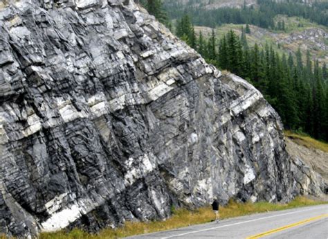 Sedimentary Structures And Textures Geology Science