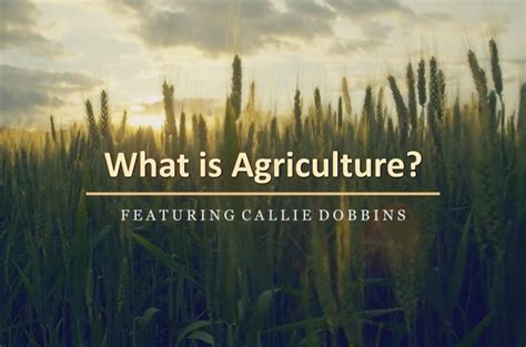 Principles Of Agriculture Acellus Learning System