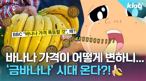 바나나 가격이 어떻게 변하나 이상기후에 20년 만에 무릎 꿇은 미국 마트 근황｜크랩 Youtube