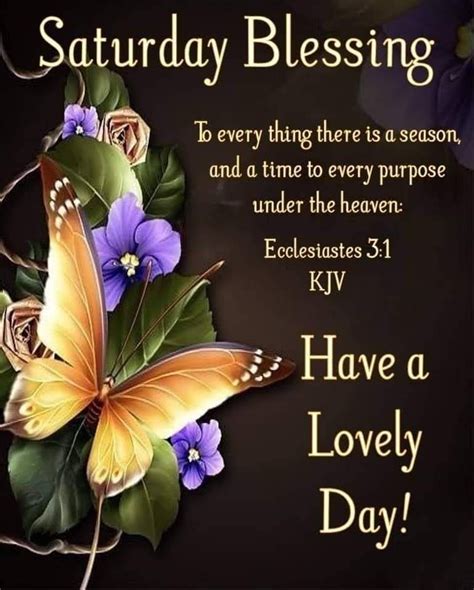 Golden Butterfly Saturday Blessing With Scripture Pictures Photos