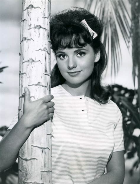 Dawn Wells Bra Size And Measurements Celebrity Bra Size Body Measurements And Plastic Surgery