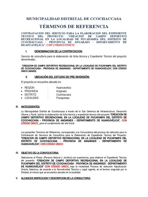 Tdr Grass Chochaccasa Pdf Presupuesto Arquitecto