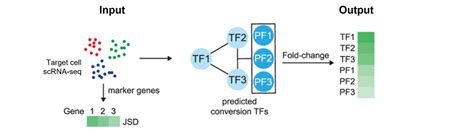 The Computational Biology Group