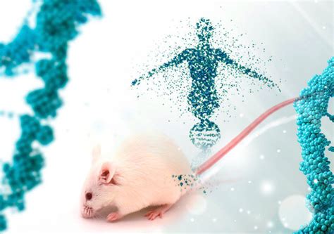 Human Xenograft Models Atlantis Bioscience Pte Ltd